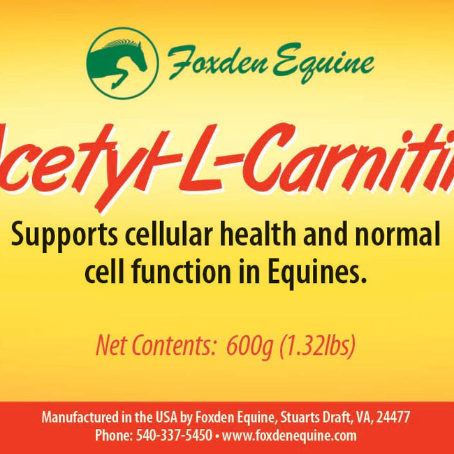 Horse Antioxidant & Metabolic Boost Acetyl-L-Carnitine – Foxden Equine